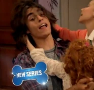 Tyler James/Gallery | Dog With A Blog Wiki | Fandom