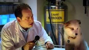 Ian Calloway/Gallery | Dog With A Blog Wiki | Fandom