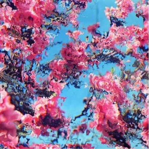 PIXEL DADDIE | Doja Cat Wiki | Fandom