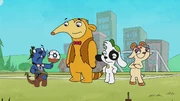 Fico/Galería | Dokipedia | Fandom