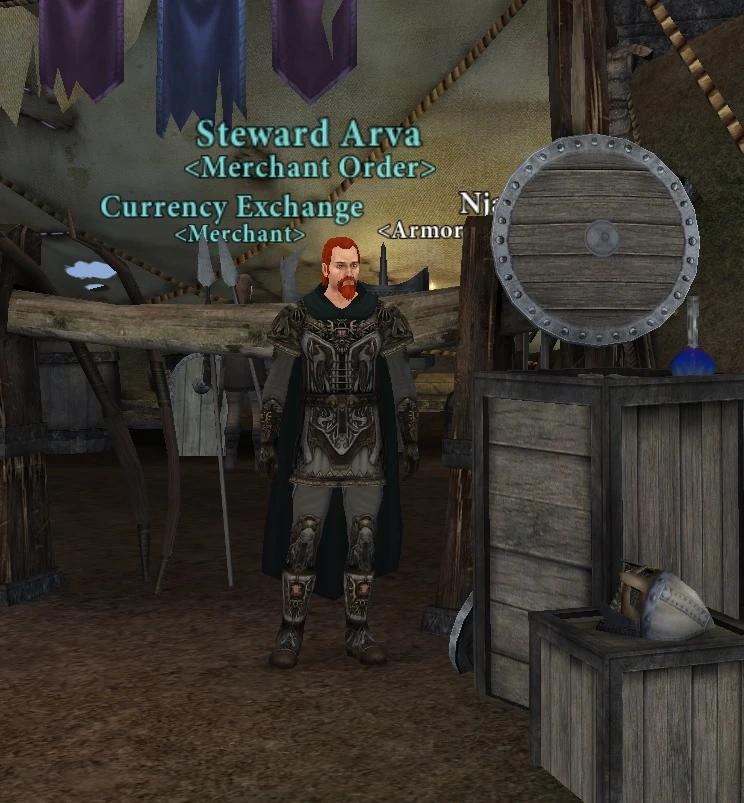 Steward Arva | Camelot Adventures Wiki | Fandom