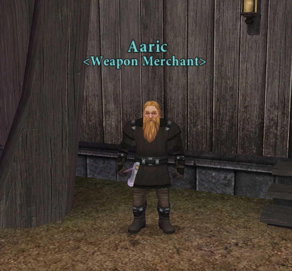 Aaric | Camelot Adventures Wiki | Fandom