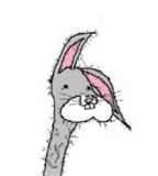 Bogs | The Dolan Comics Wiki | Fandom