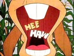 Hee Haw | Dolly Parton Wikia | Fandom