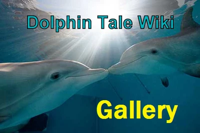 Hazel Haskett | Dolphin Tale Wiki | Fandom