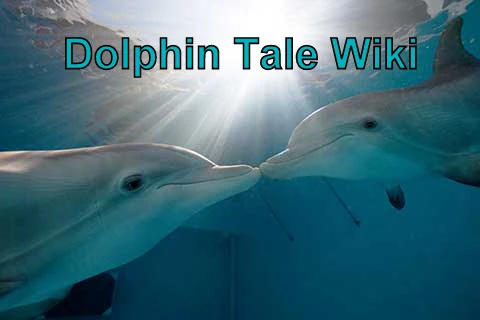 Dolphin Tale Wiki | Fandom
