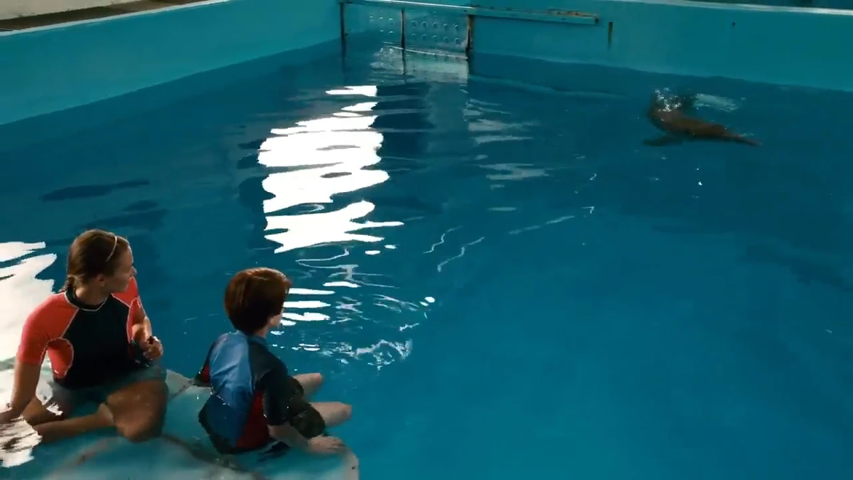 Winter (dolphin) | Dolphin Tale Wiki | Fandom