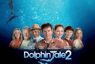 dolphin tale 2 plot