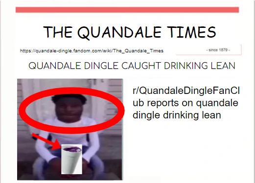 The Dingles times | Dolphlands Wiki | Fandom