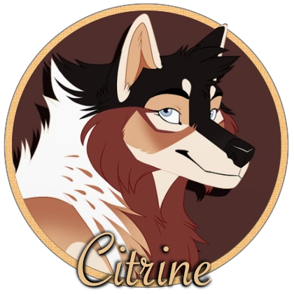 Citrine | Domain of the Wolf Wiki | Fandom