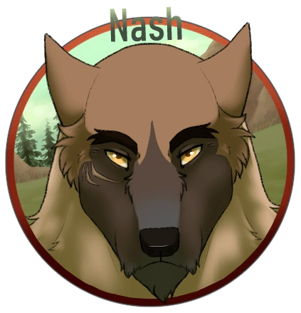 Anashii | Domain of the Wolf Wiki | Fandom