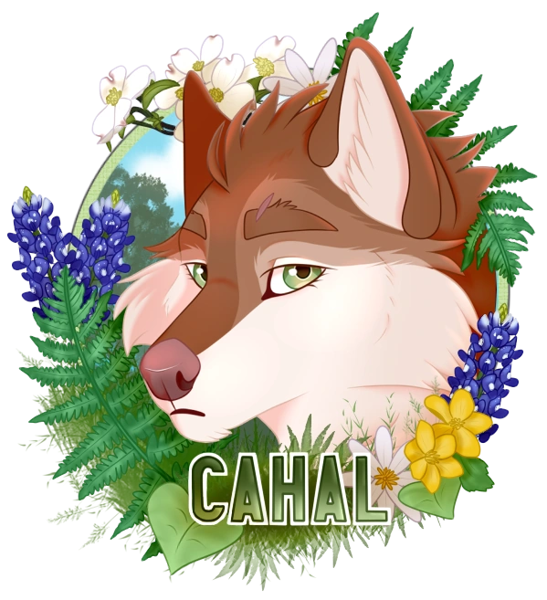 Cahal | Domain of the Wolf Wiki | Fandom