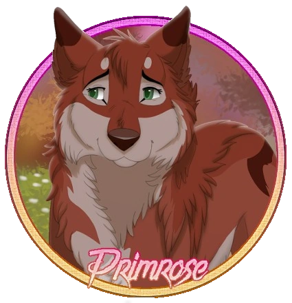 Primrose | Domain of the Wolf Wiki | Fandom