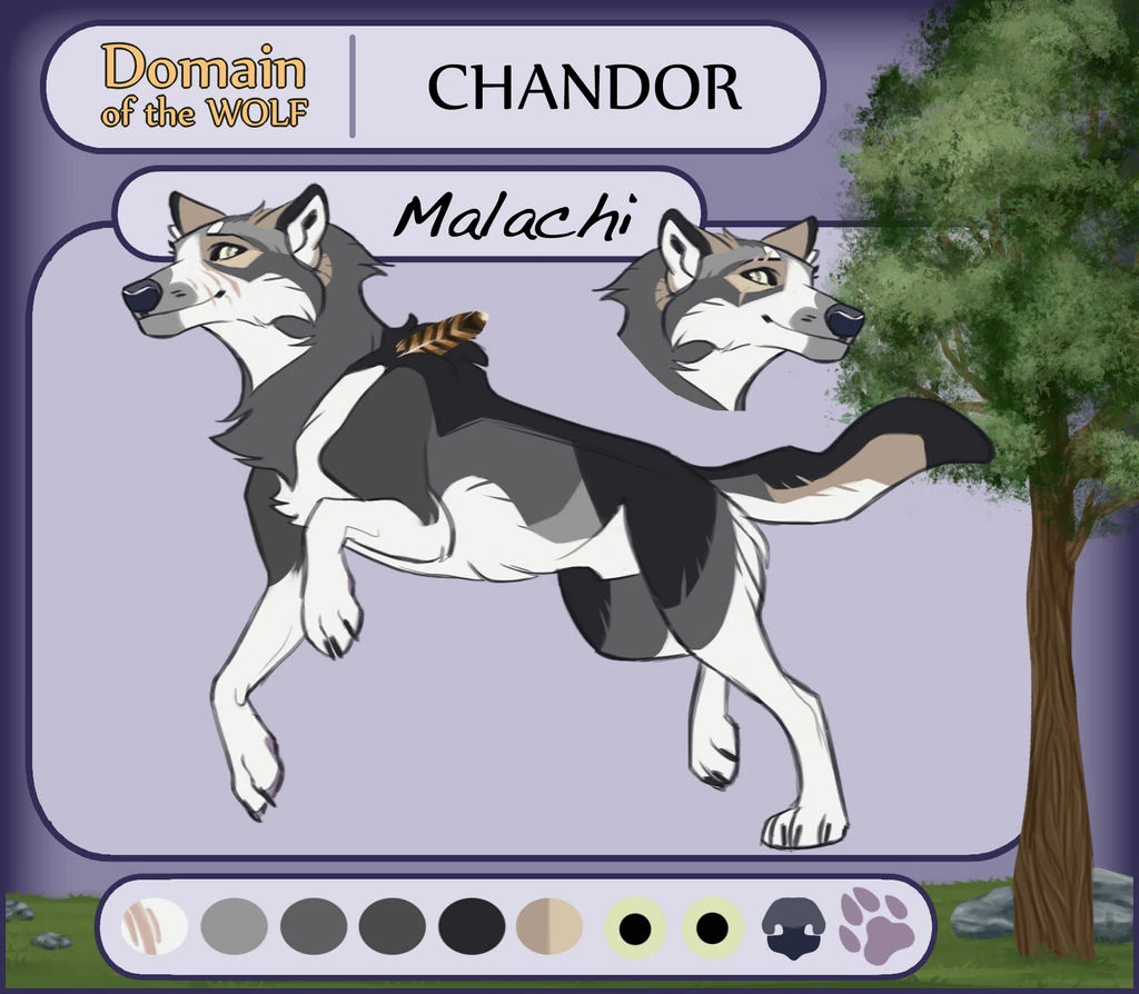 Malachi | Domain of the Wolf Wiki | Fandom
