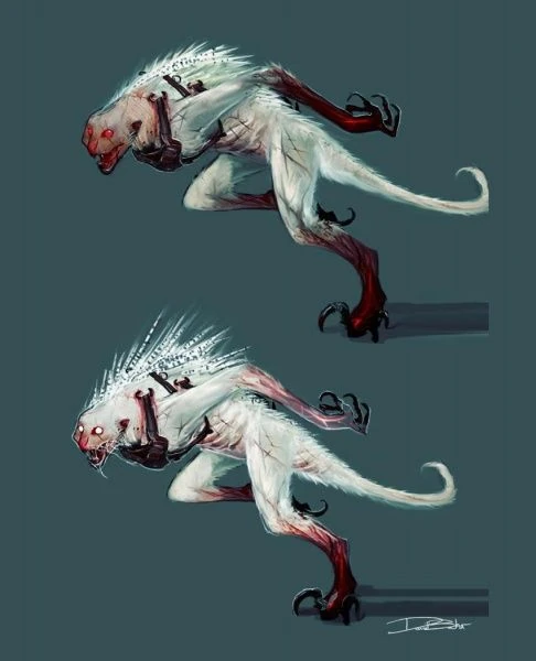 Wazzo | Domains of the Realms Wiki | Fandom