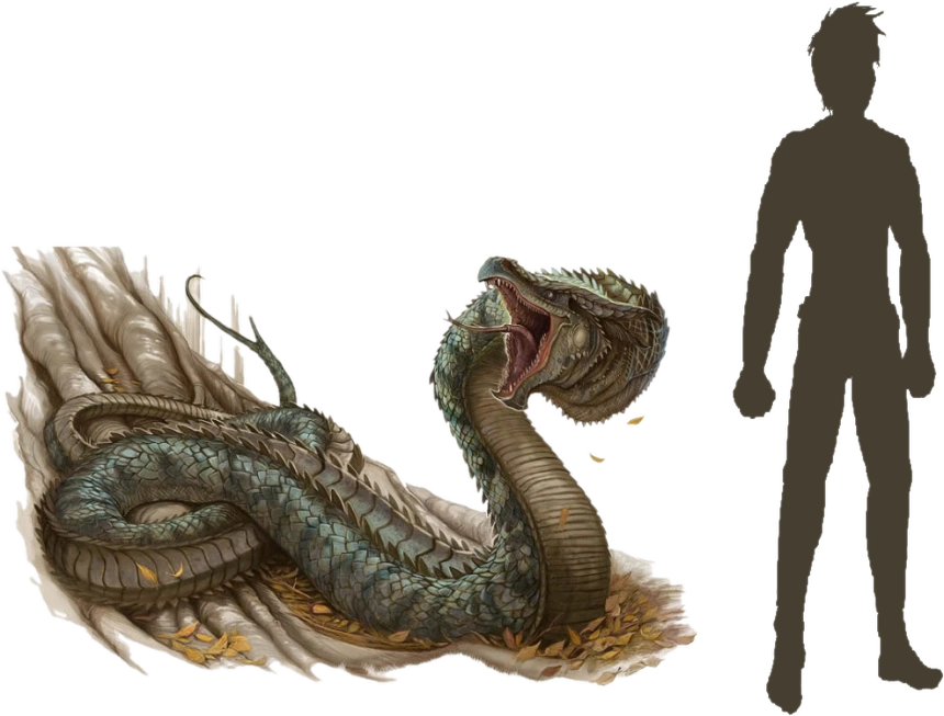 Wyrm | Domains of the Realms Wiki | Fandom