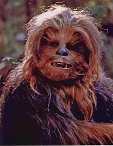 Chewbacca | Wiki Dominios Encantados | Fandom