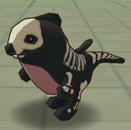 Dragon pet | Domo Wiki | Fandom