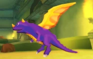 Dragon pet | Domo Wiki | Fandom