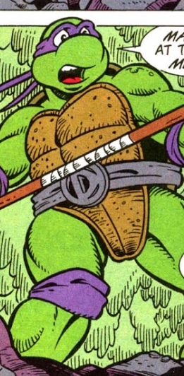 Donatello (Archie) | Donatello the Ninja Turtle Wiki | Fandom