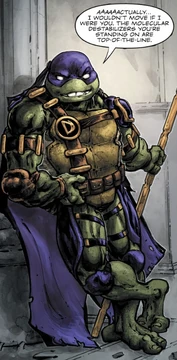 Donatello the Ninja Turtle Wiki | Fandom