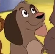 Timmy (All Dogs Go to Heaven) | Don Bluth Wiki | Fandom