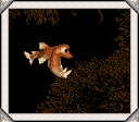 Nibbla | Donkey Kong Wiki | Fandom