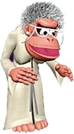 Wrinkly Kong | Donkey Kong Wiki | Fandom