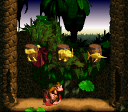 Bonus Stage | Donkey Kong Wiki | Fandom