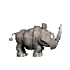 Rambi the Rhinoceros | Donkey Kong Wiki | Fandom