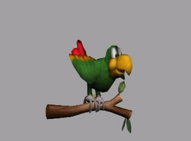 Squawks | Donkey Kong Wiki | Fandom