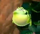 Frogoon | Donkey Kong Wiki | Fandom