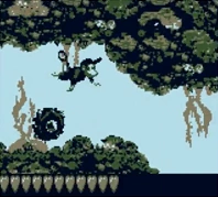 Reef Rampage | Donkey Kong Wiki | Fandom