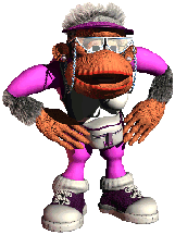Wrinkly Kong | Wiki Donkey kong | Fandom