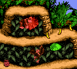Jungle Hijinxs (Donkey Kong Country) | Donkey Kong Wiki | Fandom