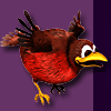 Booty Bird | Donkey Kong Wiki | Fandom