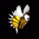 Zinger | Donkey Kong Wiki | Fandom