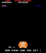 Donkey Kong (game) | Donkey Kong Wiki | Fandom