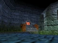 Crocodile Isle - Donkey Kong Wiki, the encyclopedia about Donkey Kong ...