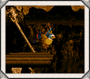 Dixie Kong's Photo Album | Donkey Kong Wiki | Fandom