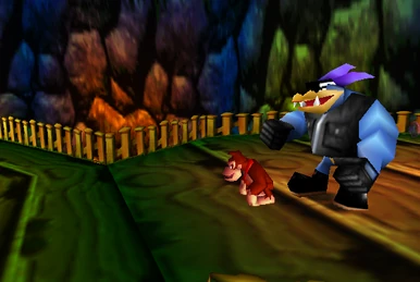 dkc kludge