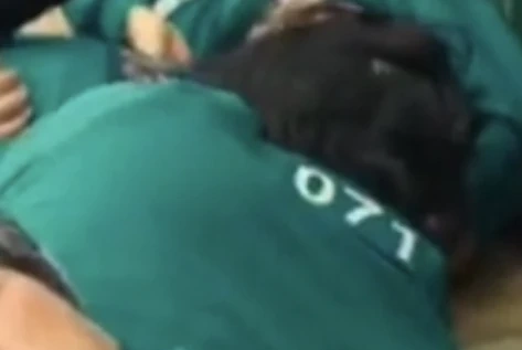 Tang Da-Hae | DonnieBrasco Wiki | Fandom