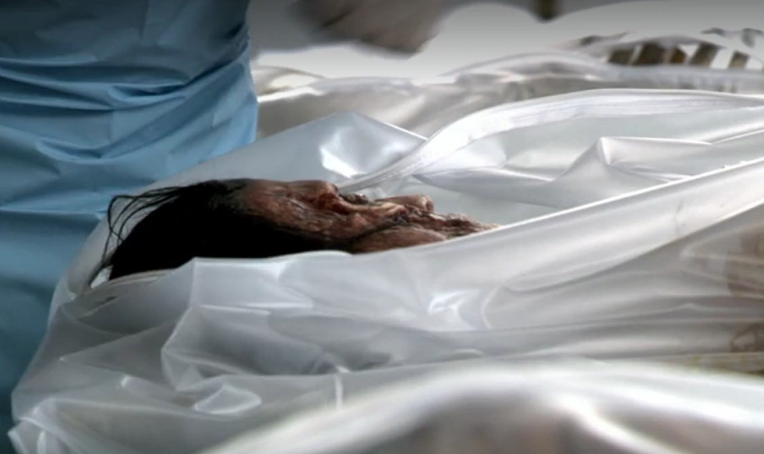 Marcus White | DonnieBrasco Wiki | Fandom