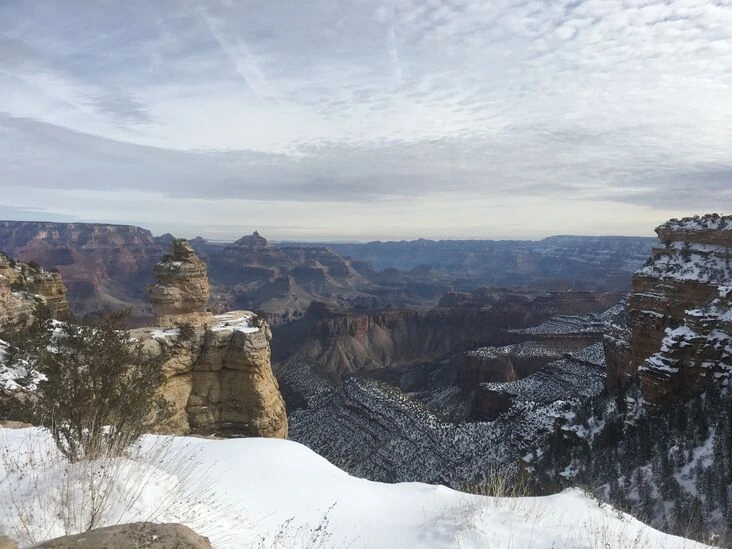 Duck Point | DonnieBrasco Wiki | Fandom