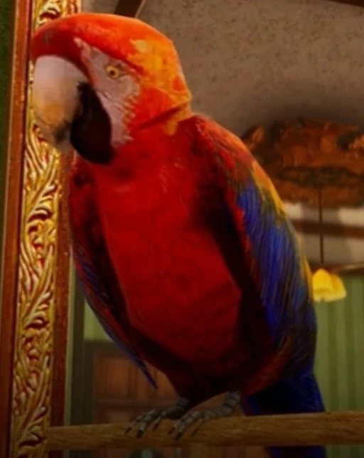 Tony the Parrot | DonnieBrasco Wiki | Fandom