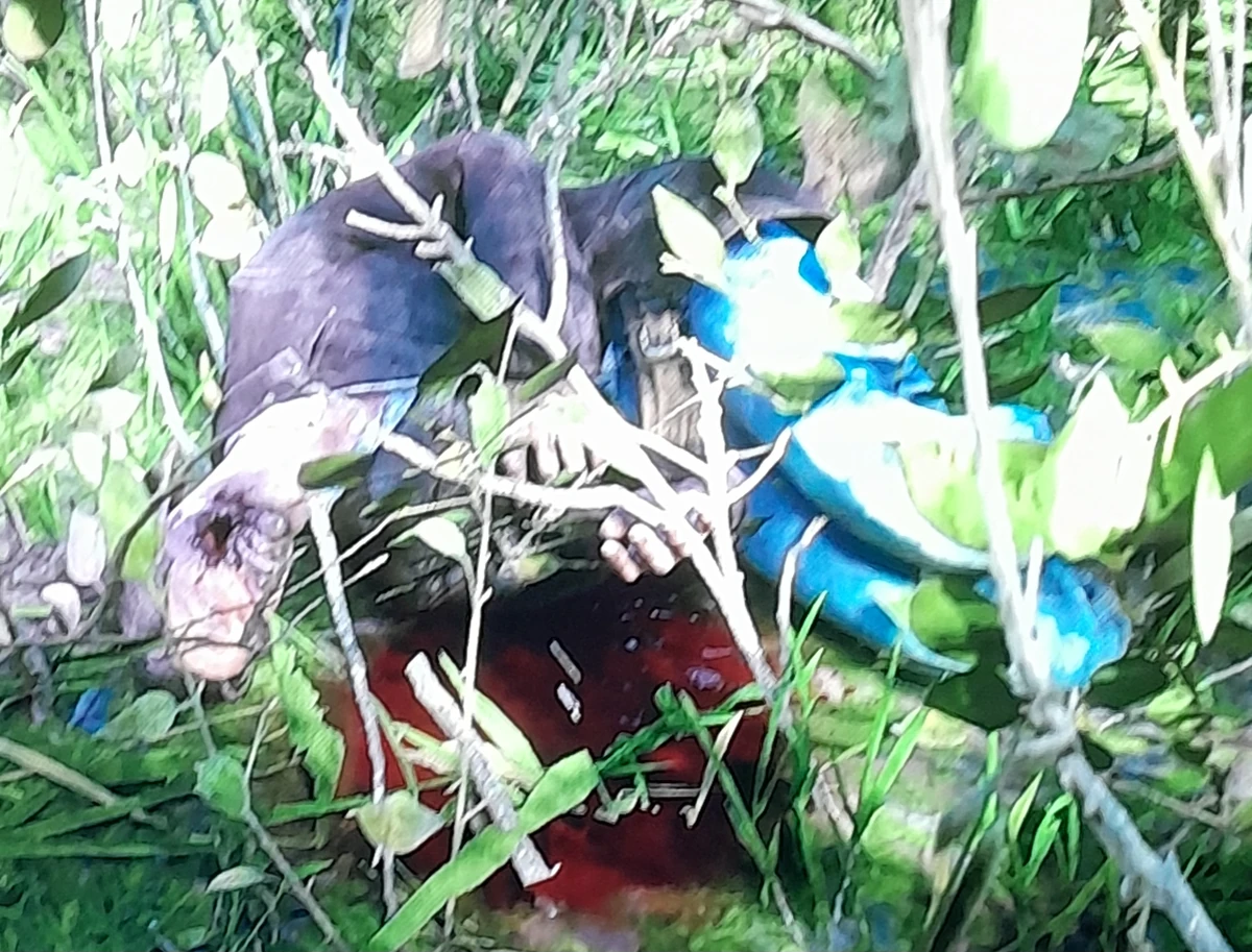 Edward J. Clarkson | DonnieBrasco Wiki | Fandom