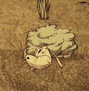 Ewecus | Don't Starve Wiki | Fandom