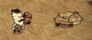 Beefalo | Don't Starve Wiki | Fandom