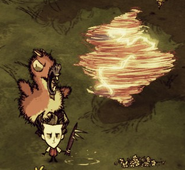 Mosling | Don't Starve Wiki | Fandom