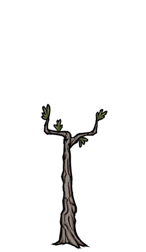 Twiggy Tree | Don't Starve Wiki | Fandom
